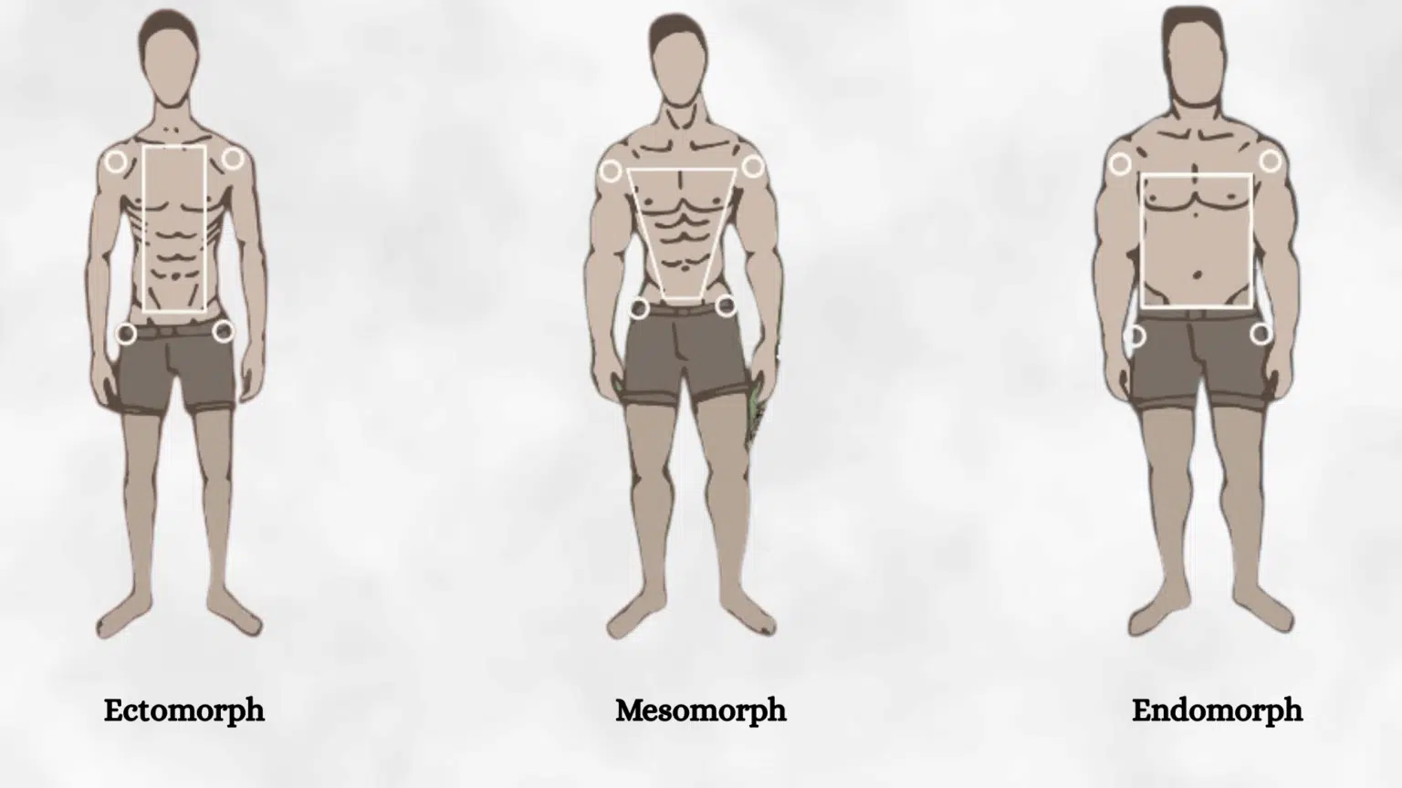 Understanding Athletic Body Type: Training and Dressing Tips - Sporthiatus